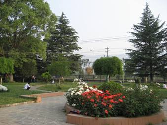 (GS771) Public College at Tianshui Gansu - Teaching Jobs in China ...